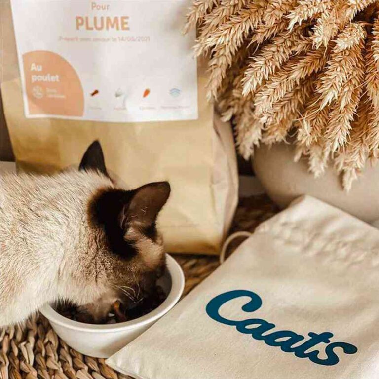 Caats : Nourriture pour Chat Saine & Bon Marché (Notre Avis)
